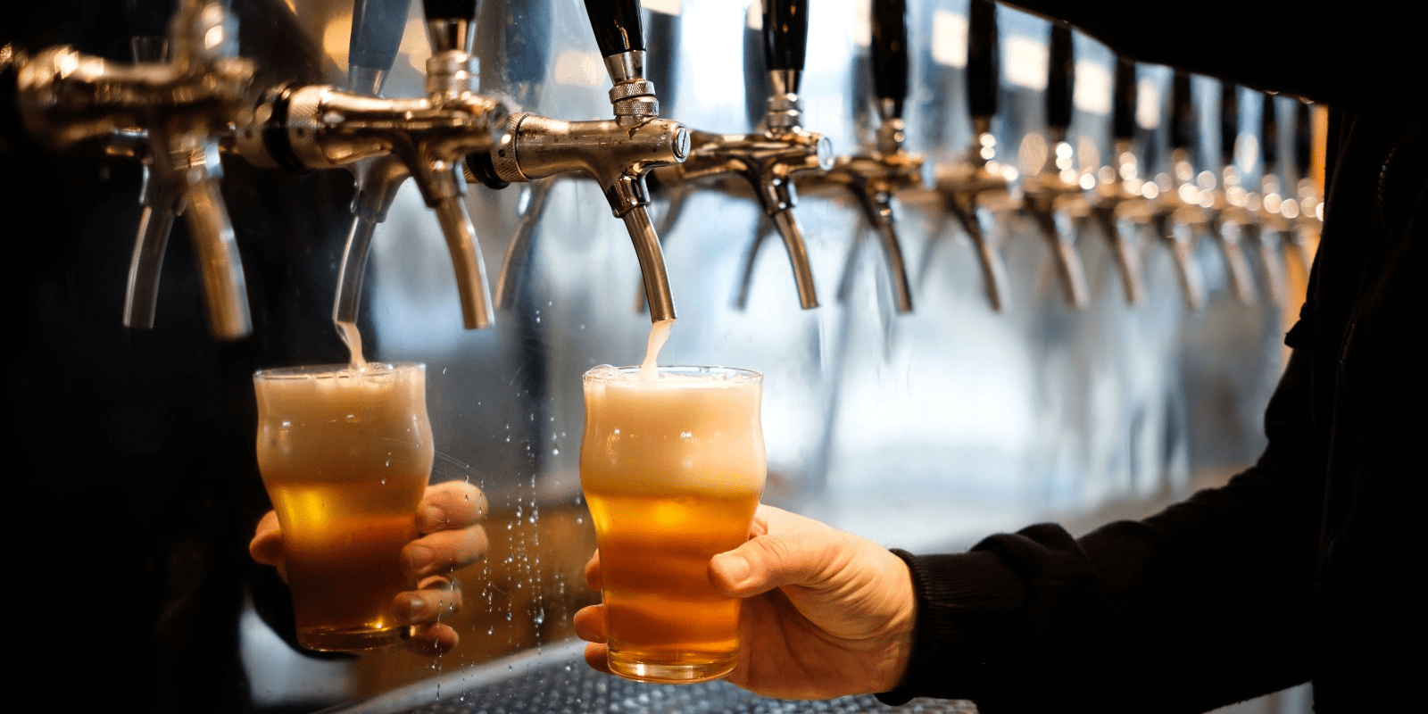 Cervejas da 277 Craft Beer vencem World Beer Cup - Economia PR